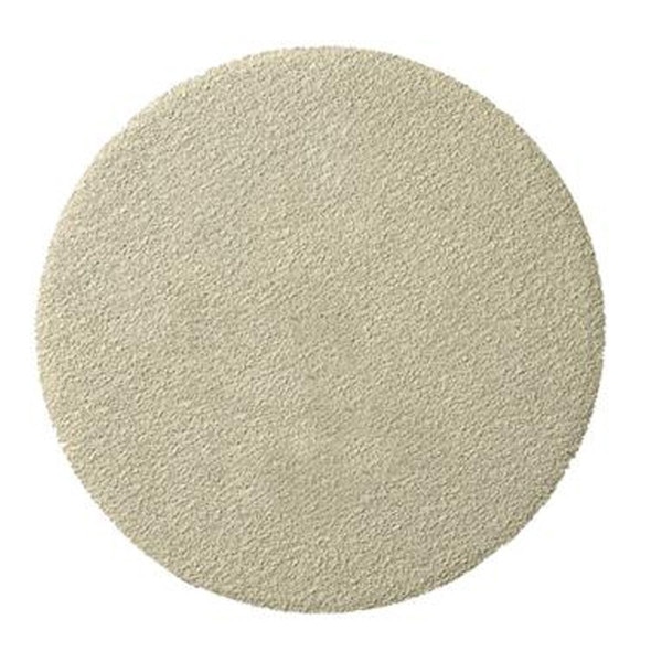 Velcro Back Sanding Disc | Bolts Plus Inc.