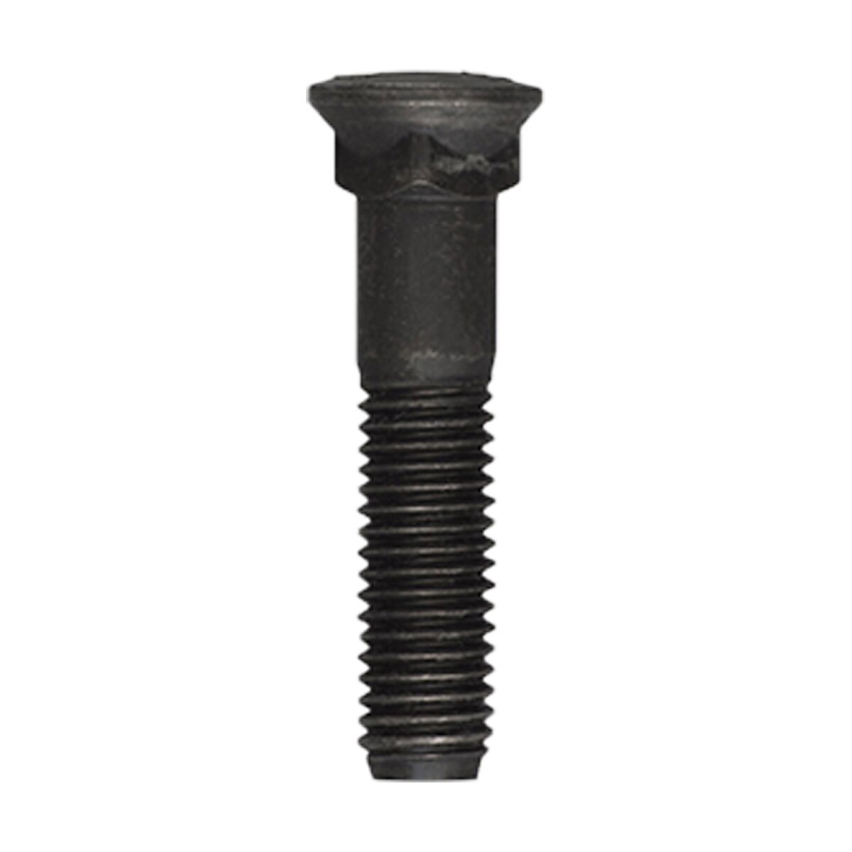 Dome Head Scraper Bolt | Bolts Plus Inc.