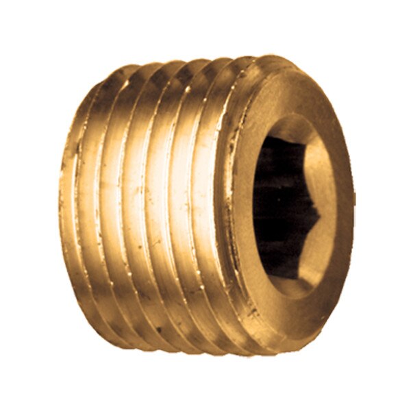 Hex Socket Pipe Plug | Bolts Plus Inc.