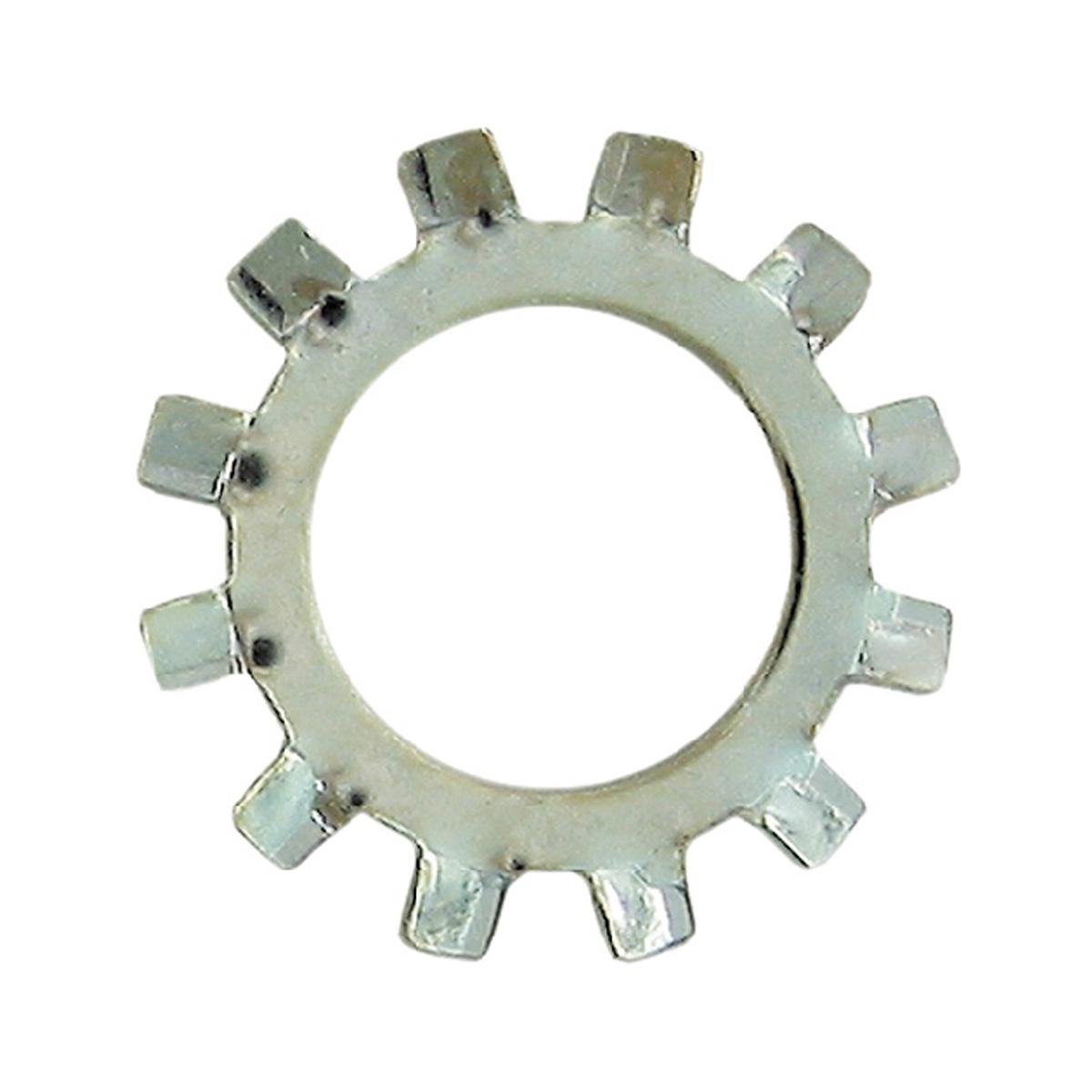 External Tooth Lock Washer | Bolts Plus Inc.