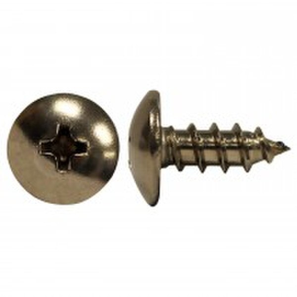 Truss Phillips Tapping Screws; Type A Stainless Steel | Bolts Plus Inc.